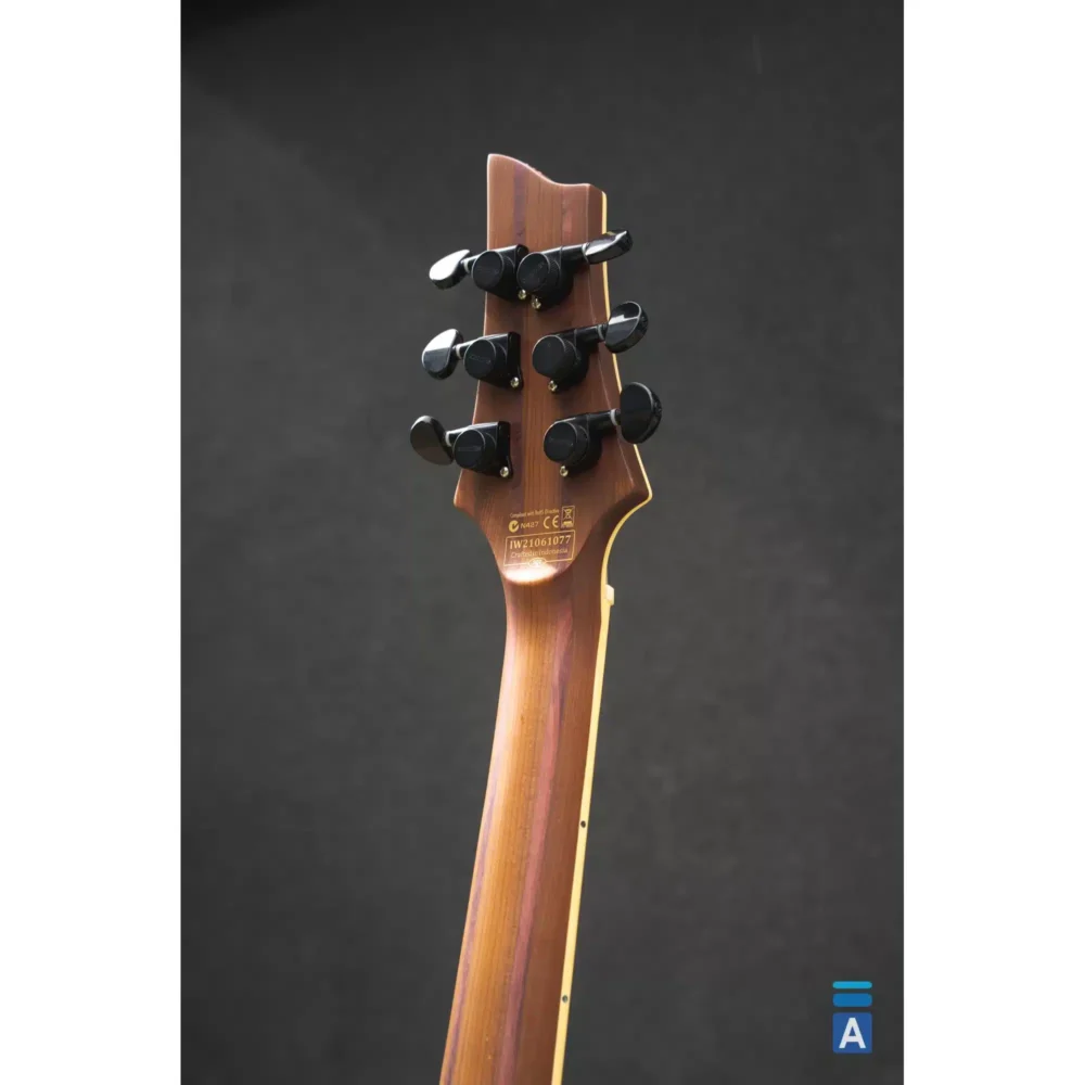 Schecter C-1 Exotic Spalted Maple gitara | Artist