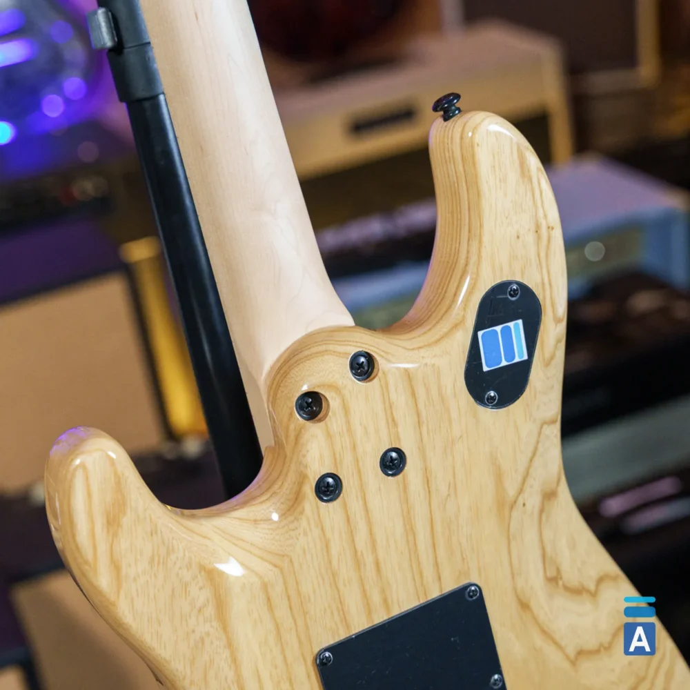 Schecter Justin Beck Ani Signature električna gitara | Artist d.o.o.
