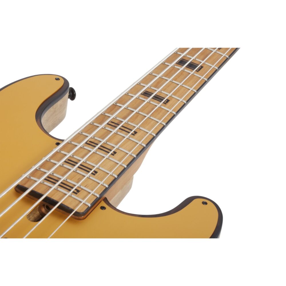 Schecter Model-T 5 Exotic Ziricote NS bass gitara | Artist