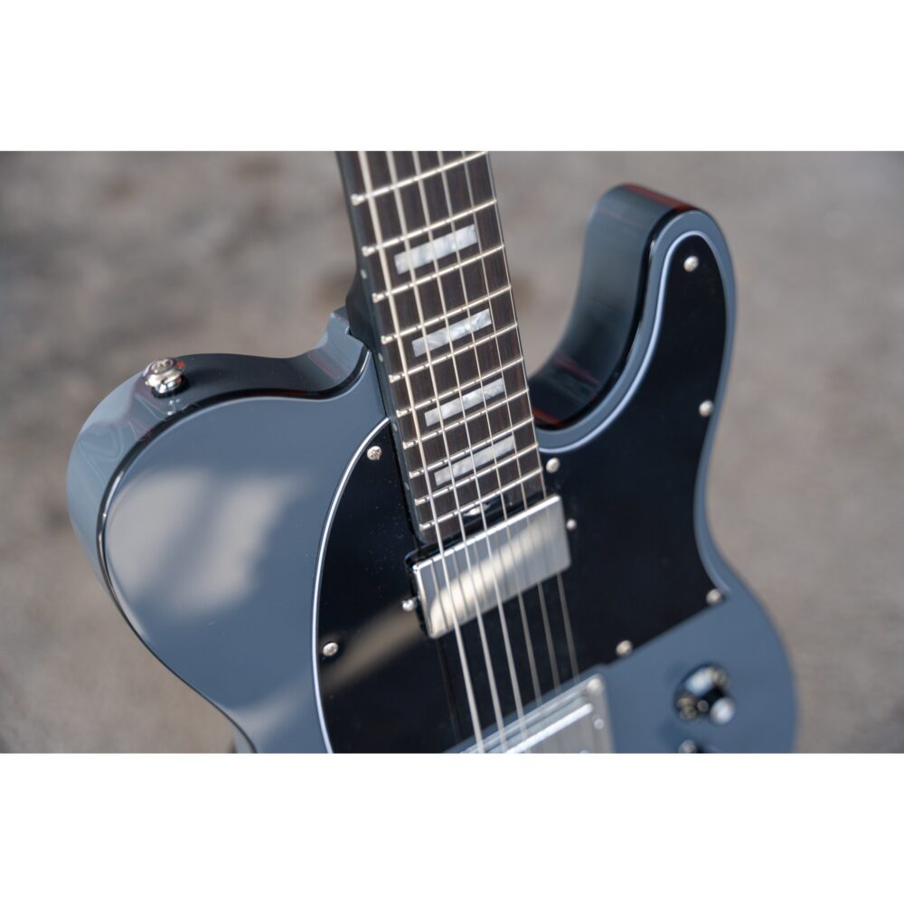 Schecter PT EX Dorian Gray Baritone električna gitara | Artist