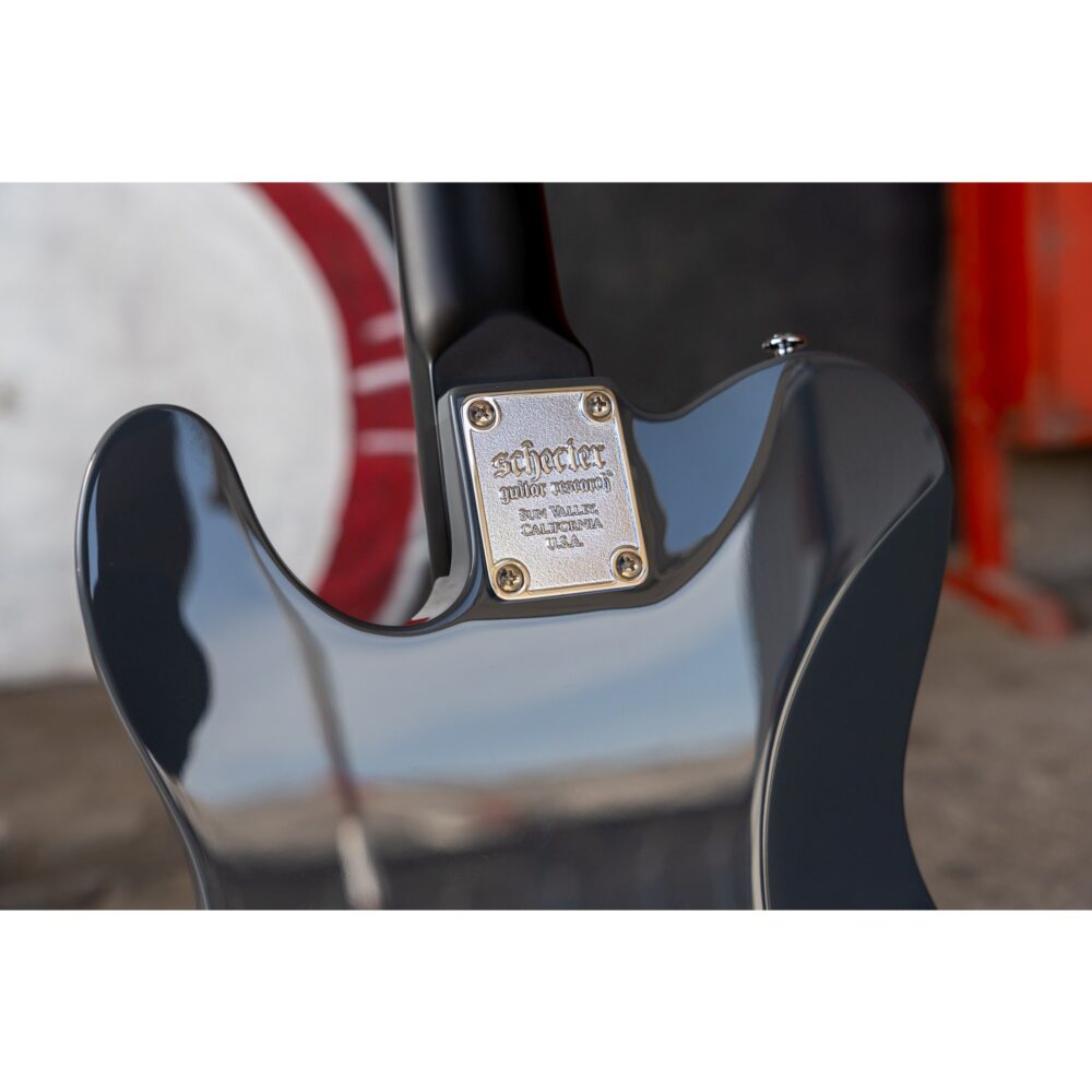 Schecter PT EX Dorian Gray Baritone električna gitara | Artist