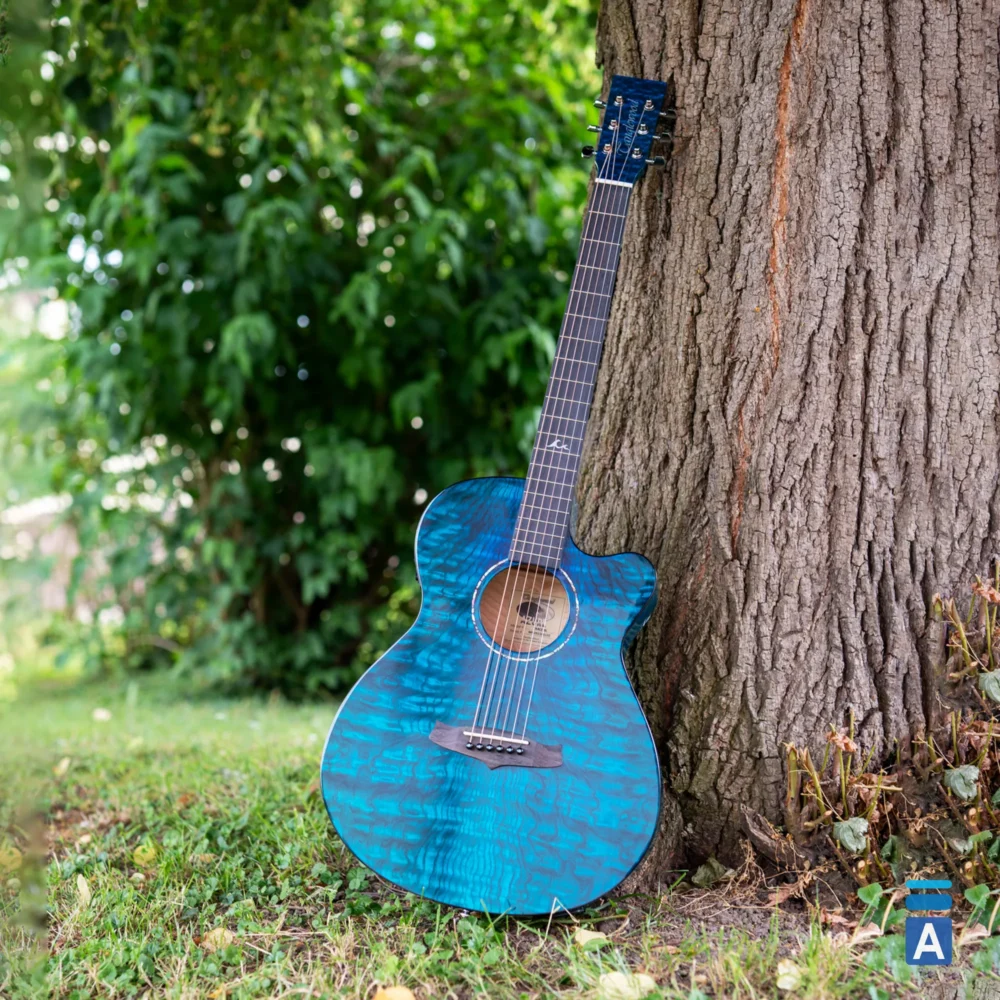 Tanglewood Azure Blue Ash TA4CEBL gitara | Artist