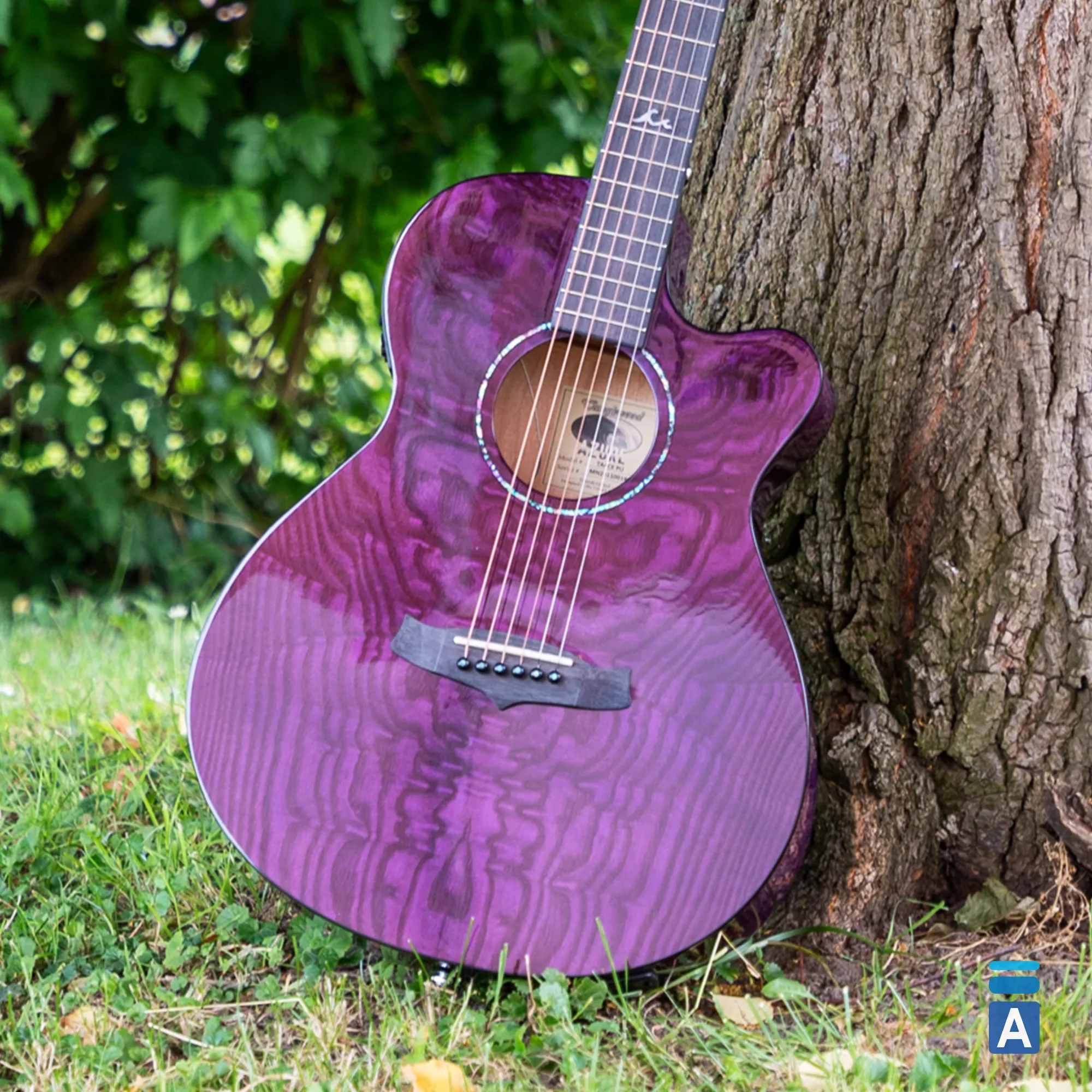 Tanglewood Azure Purple Ash TA4CEPU gitara | Artist