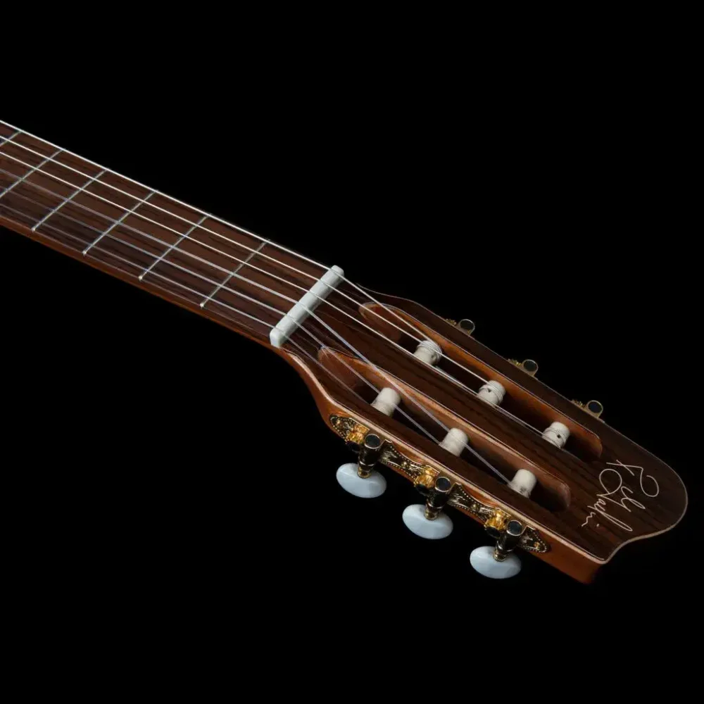 Godin Concert CW Clasica II klasična ozvučena gitara | Artist